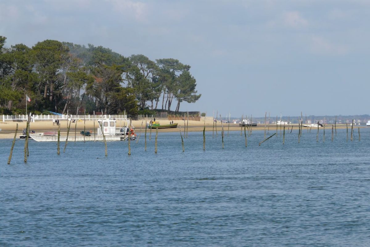 Pinasse L’Ensorceleuse | Balade en pinasse au départ du Cap Ferret