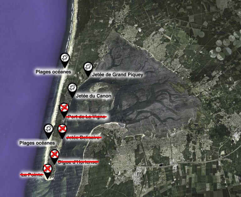 Pêcher au Cap Ferret : surf casting, pêche au leurre, pêche sportive ...